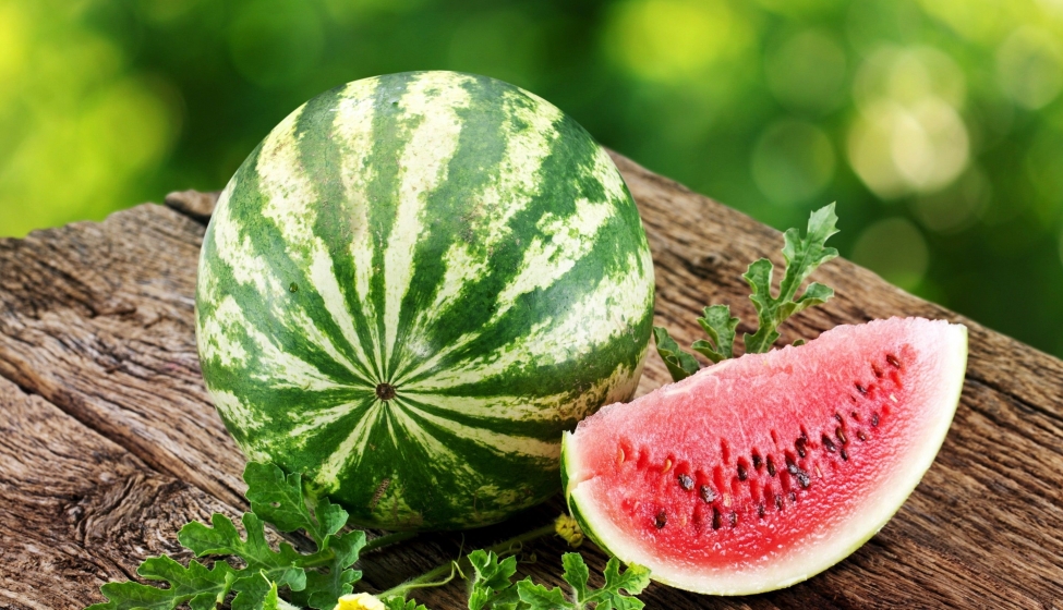 Distinct flavor and unforgettable taste - Check out the variety of ...