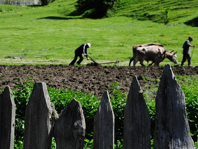 Svan people of Svaneti, Georgia live by ancient tribal traditions in ...
