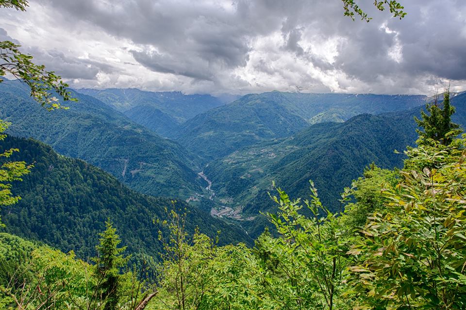 Georgian forests and wetlands to be included among UNESCO World ...